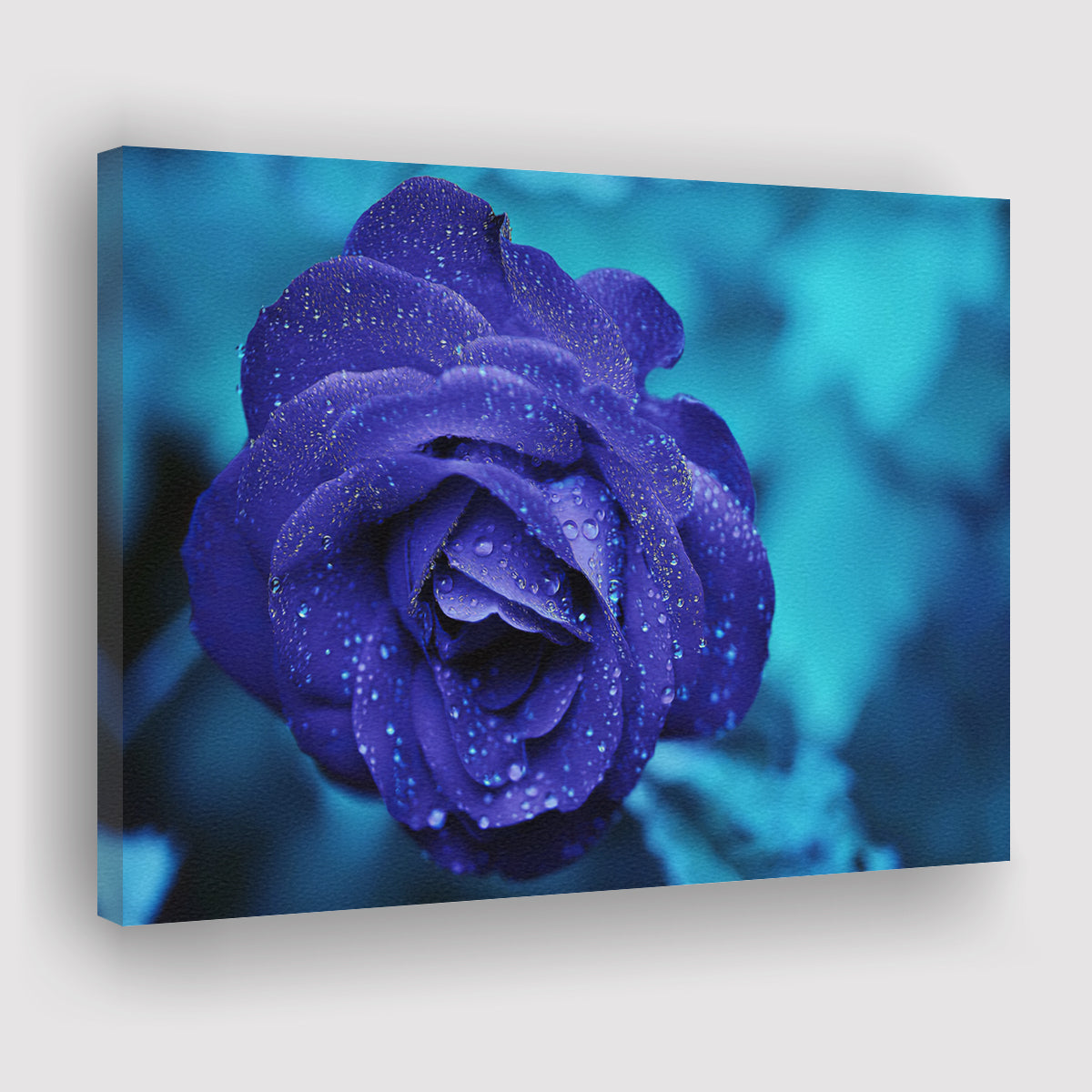 Blue Rose Canvas Wall Art - Painting Canvas, Canvas Prints, Painting A ...