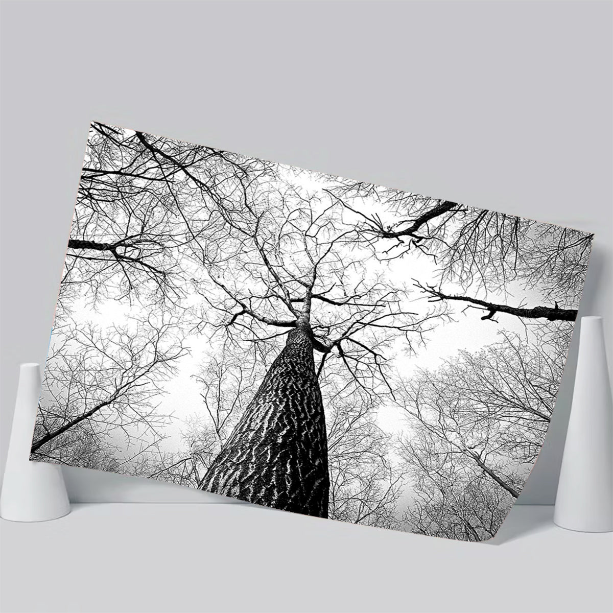 Black And White Trees Art Poster Prints Wall Art Decor, Unframe, Poste ...