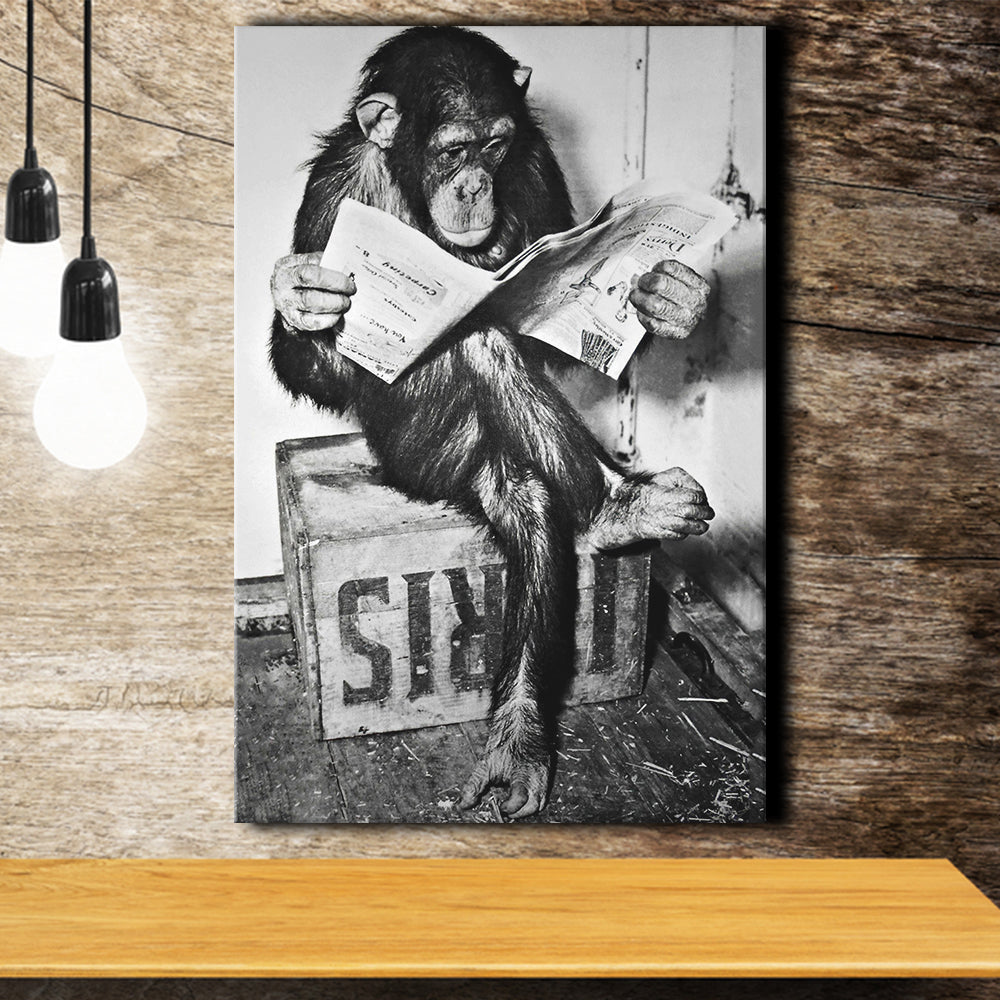 monkey reading paper