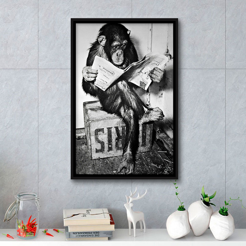 Chimpanzee Reading Newspaper Black And White Print, Monkey Business Fr ...