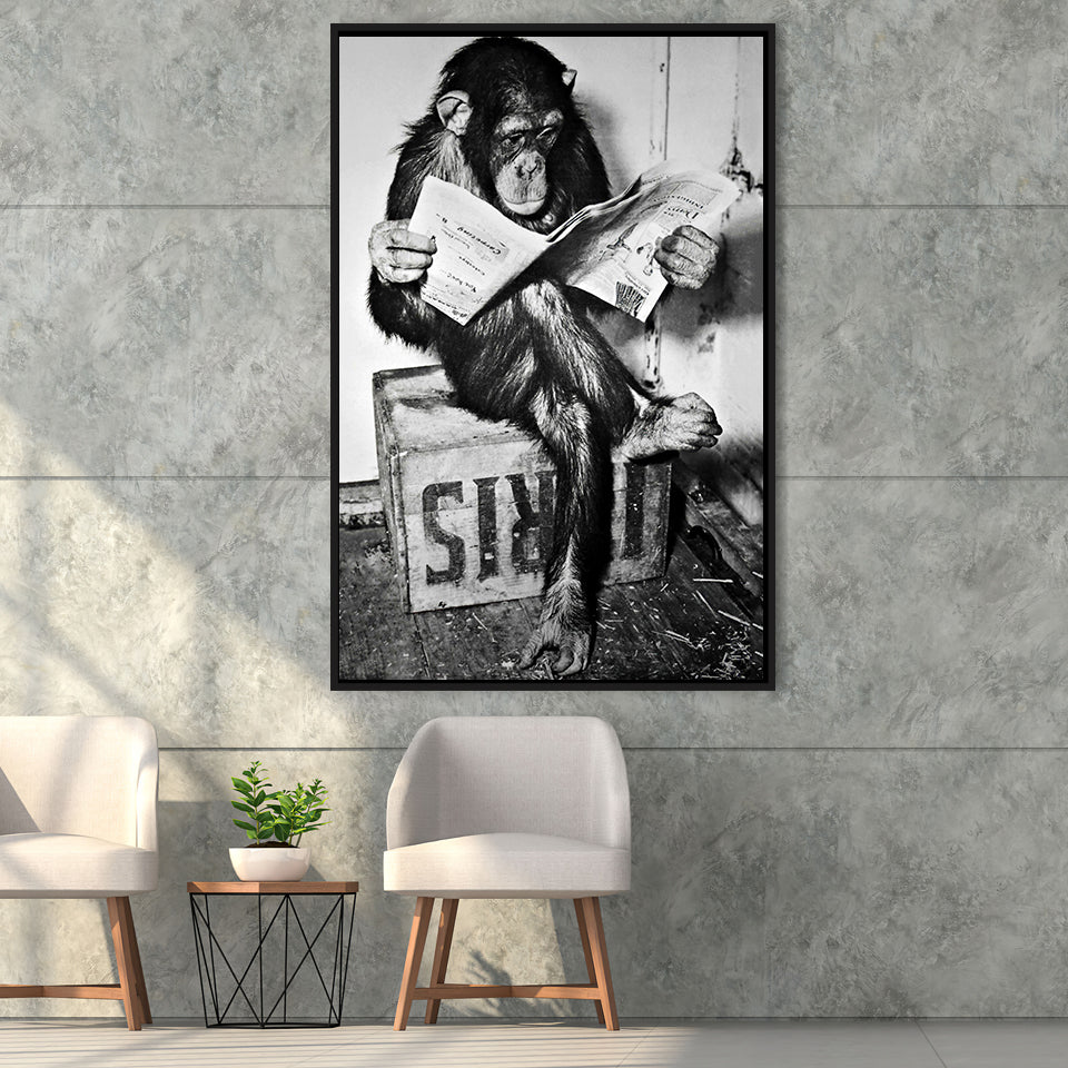 Chimpanzee Reading Newspaper Black And White Print, Monkey Business Fr ...