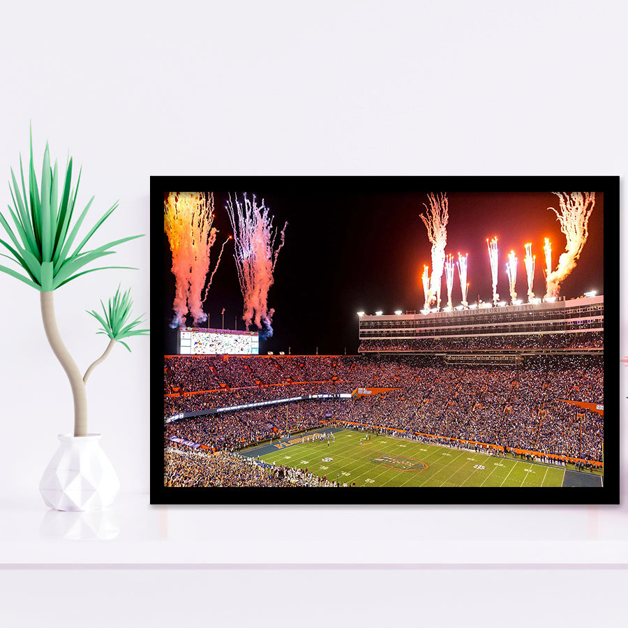 Florida Gators Stadium Art Prints Ben Hill Griffin Stadium Wall Art,Sp ...