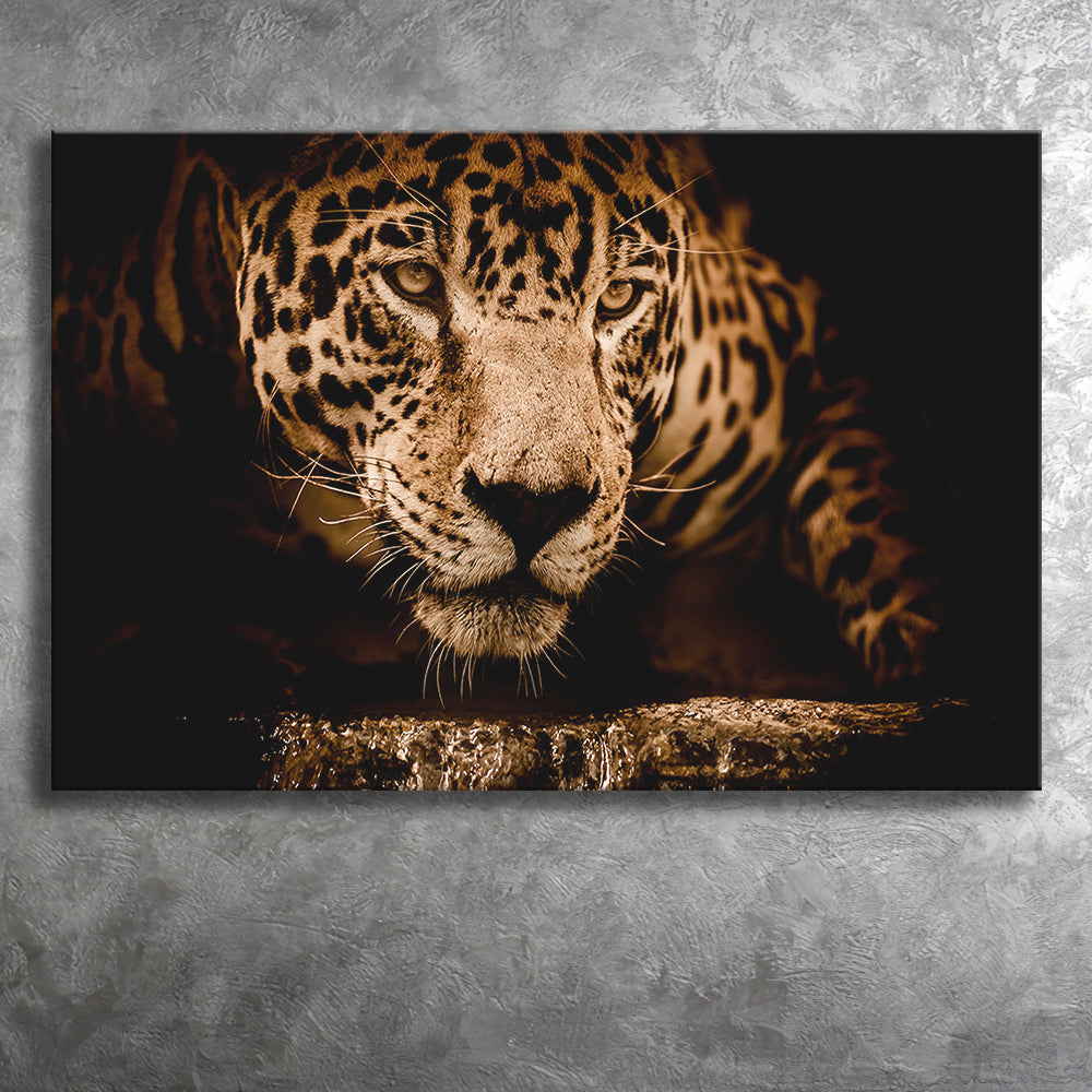 Leopard Safari Animal Canvas Prints Wall Art Decor - Painting Canvas,H ...