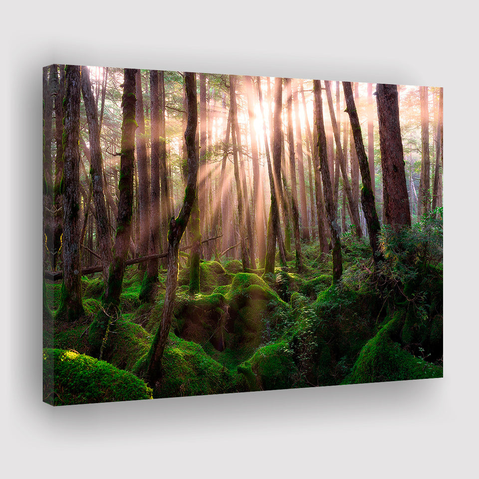 magic forest wall art