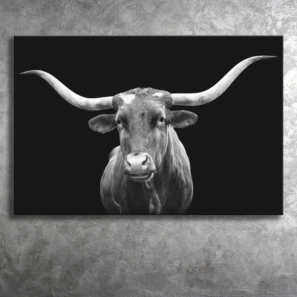 Portrait Of Texas Longhorn Cow With A Black Background Canvas Prints W ...