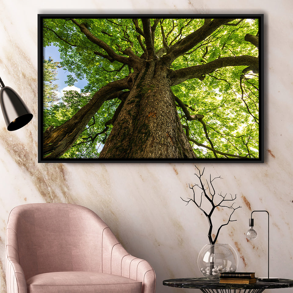 Tree Branch Tree Tree Branch Framed Canvas Prints Wall Art Home Decor ...