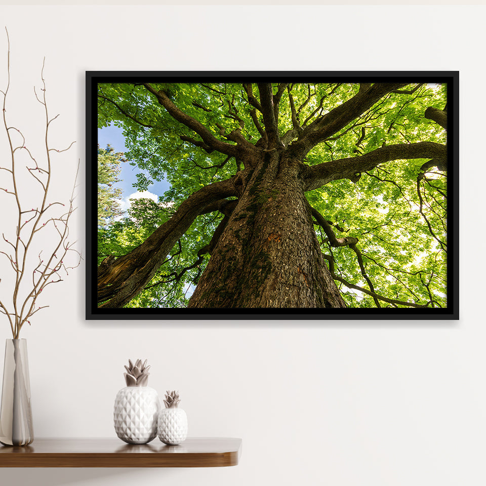 Tree Branch Tree Tree Branch Framed Canvas Prints Wall Art Home Decor ...