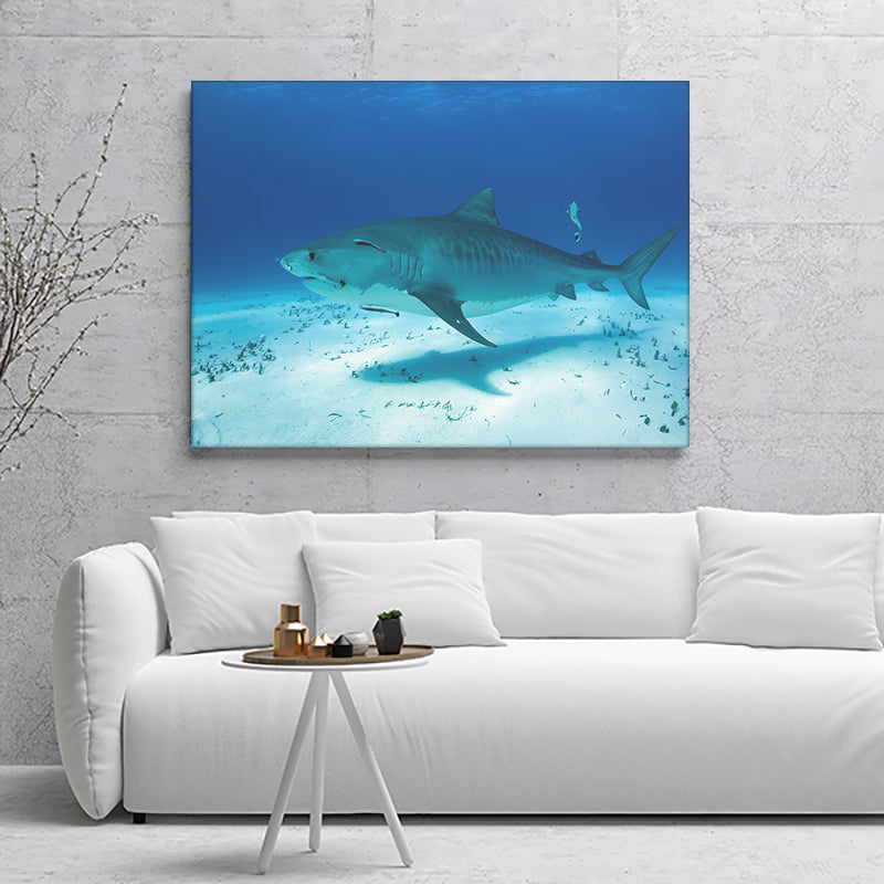 Underwater Shark Canvas Wall Art - Painting Canvas, Canvas Prints, Pai ...