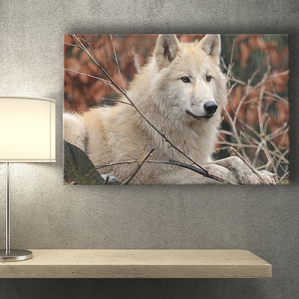 White Forest Wolf Canvas Prints Wall Art - Painting Canvas, Home Wall ...
