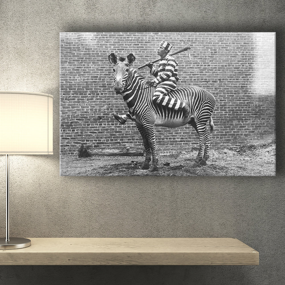 Zebra Prison Break Black And White Print, Comic Criminal Canvas Prints ...