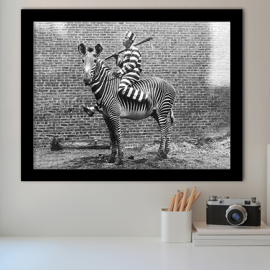 Zebra Prison Break Black And White Print, Comic Criminal Framed Art Pr ...