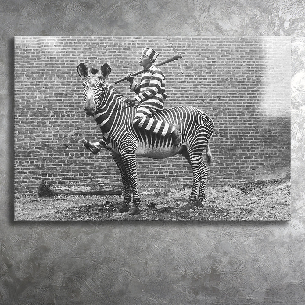 Zebra Prison Break Black And White Print, Comic Criminal Canvas Prints ...